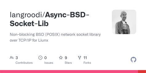 GitHub Langroodi Async BSD Socket Lib Non Blocking BSD POSIX Network Socket Library Over