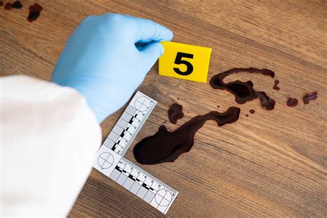 Forensic Science Degree Bsc Hons Bath Spa University
