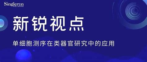 元小新带您揭秘单细胞测序在类器官研究中的应用 知乎