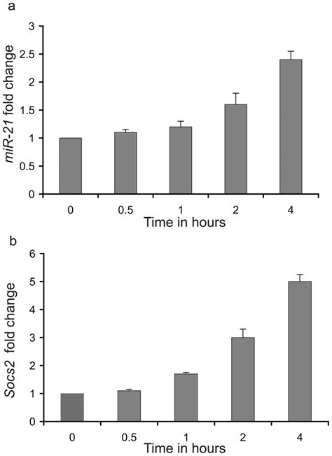 Microrna 21 Detection In Hc 11 Cells A Expression Of Mir 21 In Hc 11 Download Scientific