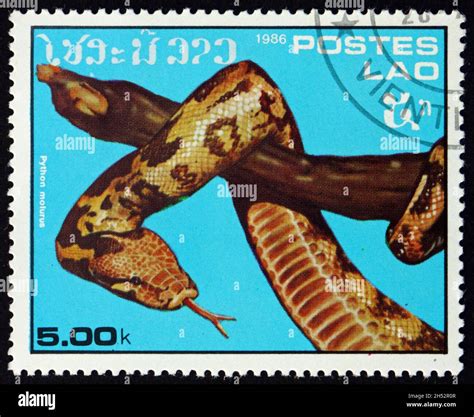 Laos Circa 1986 A Stamp Printed In Laos Shows Indian Python Python