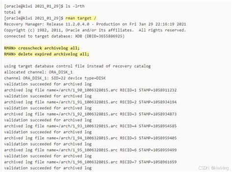 Ora 19815 Dbrecoveryfiledestsize 100 Csdn博客