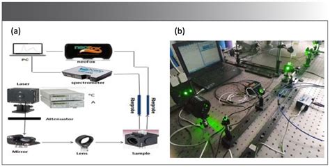 Effect Of Tissue Optical Properties On The Fluorescence Of Bodipy