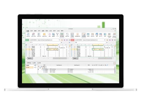 Xlcompare 表格数据对比工具软件丨中文网站正版购买 Xlcompare 是一款强大的 Excel 文件数据比较工具，它支持