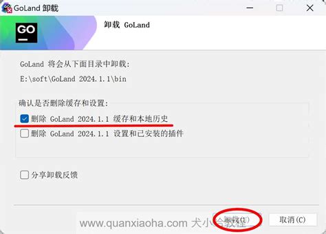 goland 2024 2 最新破解版安装教程（附激活码，亲测至2099年~） 犬小哈教程