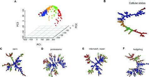 Distinct Cellular And Pathway Trajectories In Single Cell Data Of Download Scientific Diagram