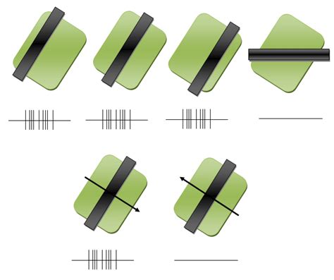 Complex Cell Receptive Fields Illustrative Examples Top Row From Left