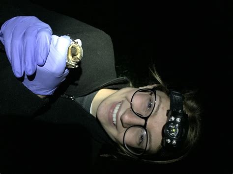 Image  Engineering Intranet