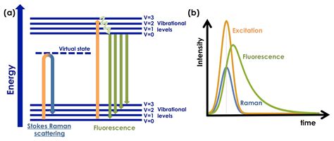 Sensors Free Full Text Modulated Raman Spectroscopy For Enhanced Cancer Diagnosis At The