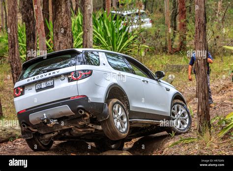 Land Rover Discovery Sport Vehicles Driving Off Road On A Land Rover