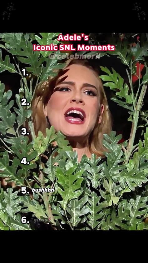 Adeles Iconic Snl Moments Snl Adele Funny Adele Tiktok