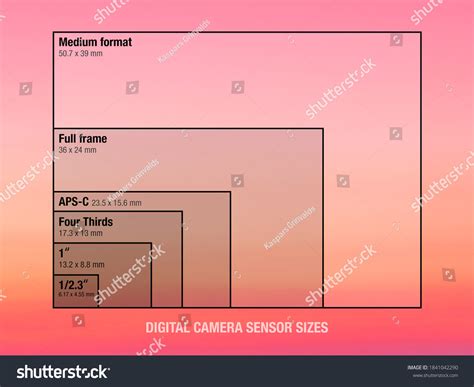 Digital Camera Sensor Sizes Comparison 库存插图 1841042290 Shutterstock