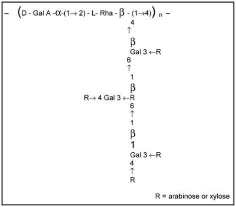 A Proposed Schematic Representation Of The Mucilage Structure Of