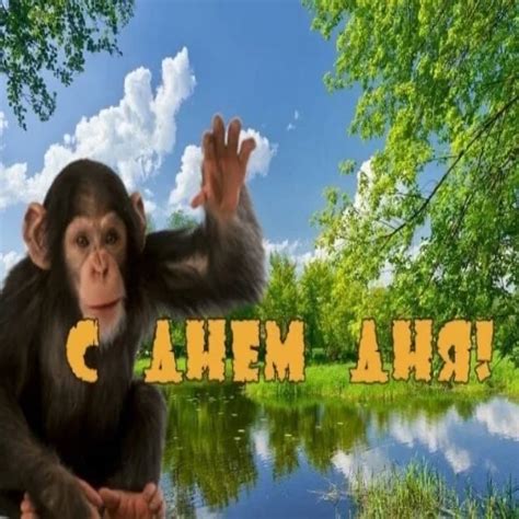 Telegram Sticker 🍇 From «С днем цемента Pack