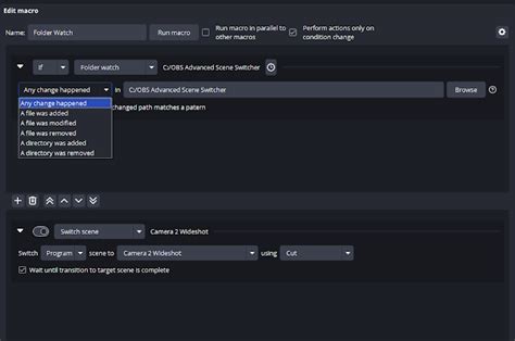 Random Contributions Obs Advanced Scene Switcher Examples
