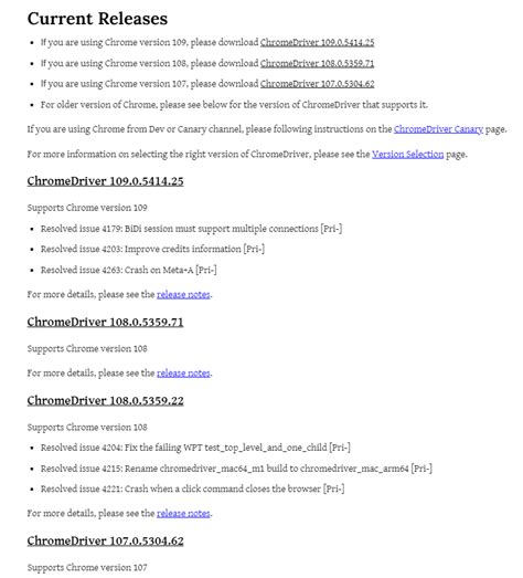 파이썬 크롬드라이버 자동설치 chromedriver autoinstaller