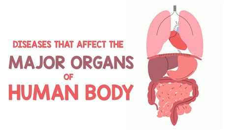 Diseases That Affect The Major Organs Of The Human Body Animation