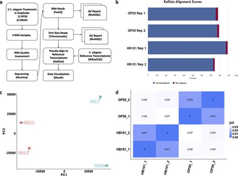Bioinformatics Pipeline Assessment Of Read Mapping And Sample Download Scientific Diagram
