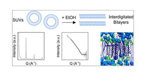 Design Of Lipid Based Nanocarriers Via Cation Modulation Of Ethanol