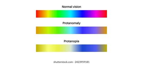 250 張「color Vision Deficiency」的免版稅照片和庫存圖片 Shutterstock