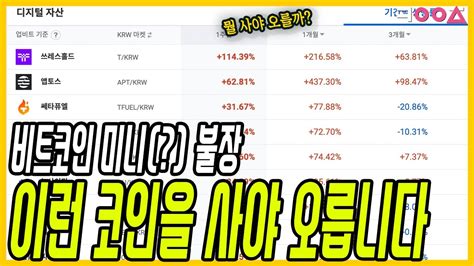 비트코인 불장 어떤 알트코인을 사야 수익이 날까 Youtube