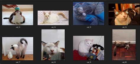 Geospatial Solutions Expert The Cat Api