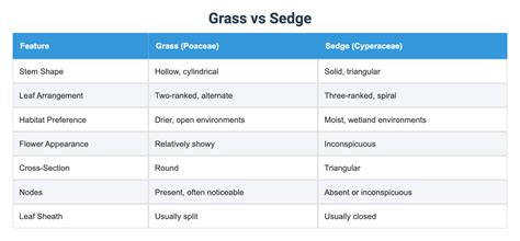 Grass Vs Sedge