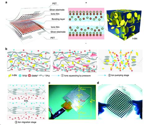 Device Design And Implementation A Schematic Illustration Of The Fips