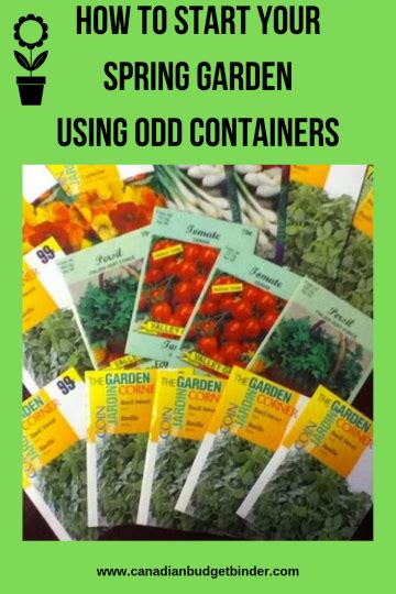 how to start your spring garden using odd containers canadian budget binder
