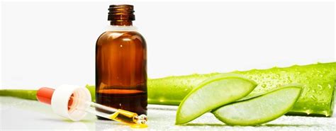 Propiedades Y Beneficios Del Aloe Vera