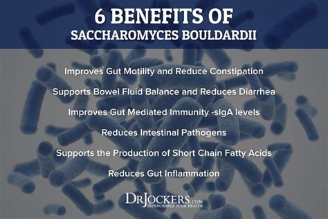 C Diff Infection Risk Factors Symptoms And Support Strategies