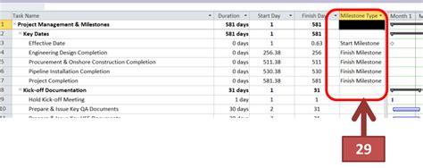 show ordinal dates instead of start and finish dates in microsoft project