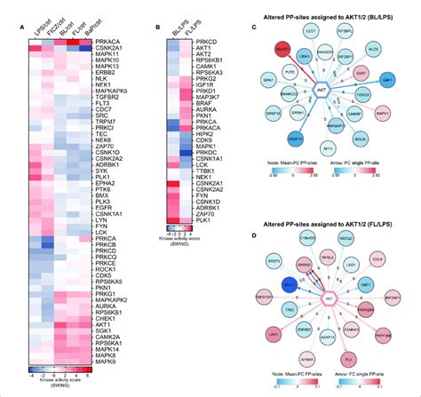 Inferred Kinase Activities And Substrates A Inferred Alterations