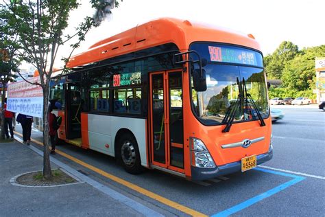 현대 블루시티 하이브리드버스 둘러보기 네이버 블로그