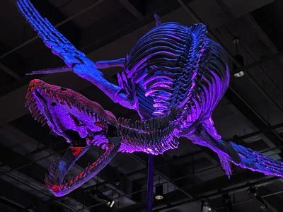 Jurassicjerks Tumblr Com Tumbex