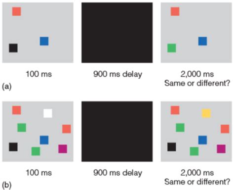PSYC TEST Flashcards Quizlet