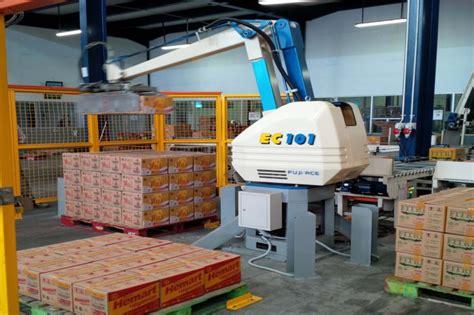 Robotic Palletizer Indonesia Customers Frensiand Jaya Teknik