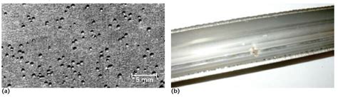 Pitting A Area With Pitting Cluster B A Single Through Wall Pit Download Scientific Diagram