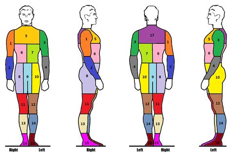 sensors free full text weakly supervised 2d pose adaptation and body part segmentation for