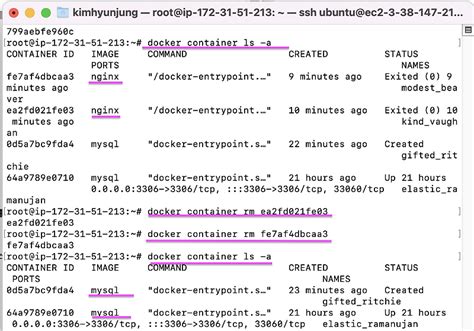 230516 알고리즘 삽입 정렬 Aws And Docker Container 편집 Glances
