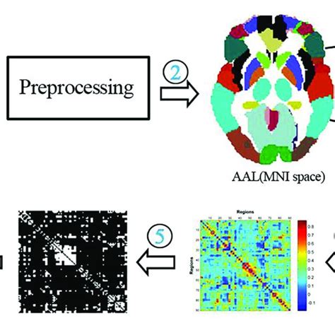 Flow Chart Of The Functional Network Analysis 1 Preprocessing Of