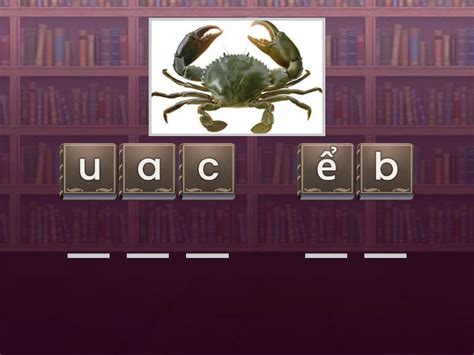 T Luy N T P Ua A Ia O Ch