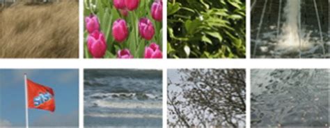 Sample Frames From The Dyntex Database Download Scientific Diagram