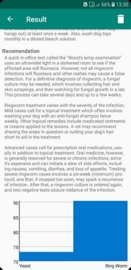 Test Result Ringworm Detection Figure 12 Shows The Result Of The