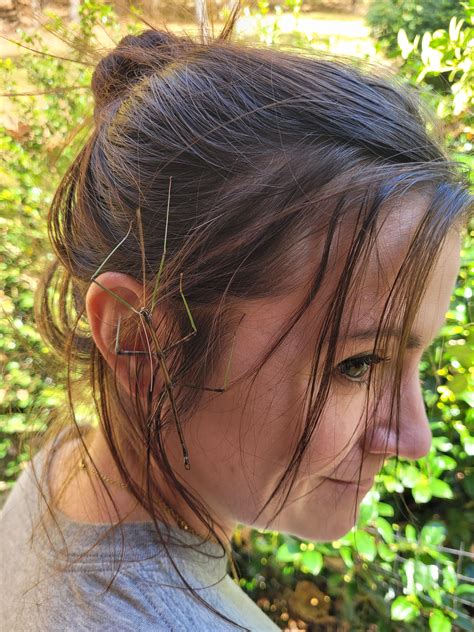 My Wife Reluctantly Let Me Put It On Her Head R Entomology