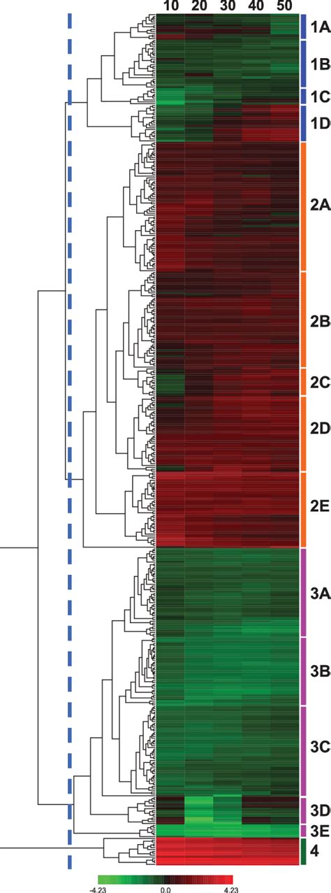 Hierarchical Clustering Of Significantly Regulated Genes All 459 Genes Download Scientific