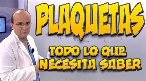 PLAQUETAS Todo Lo Que Necesita Saber YouTube