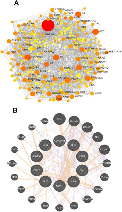 ppi network analysis of overlapping degs a ppi network of 1341