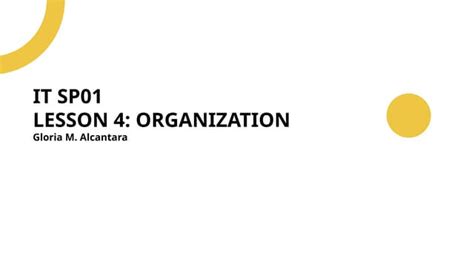 Lesson 4 Organization In Information Technology Ppt