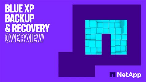 Netapp Bluexp Backup And Recovery